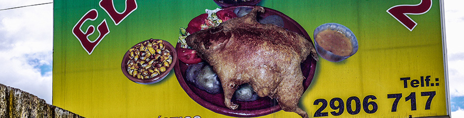 Eat cuy in Ecuador - The Great Global Bucket List